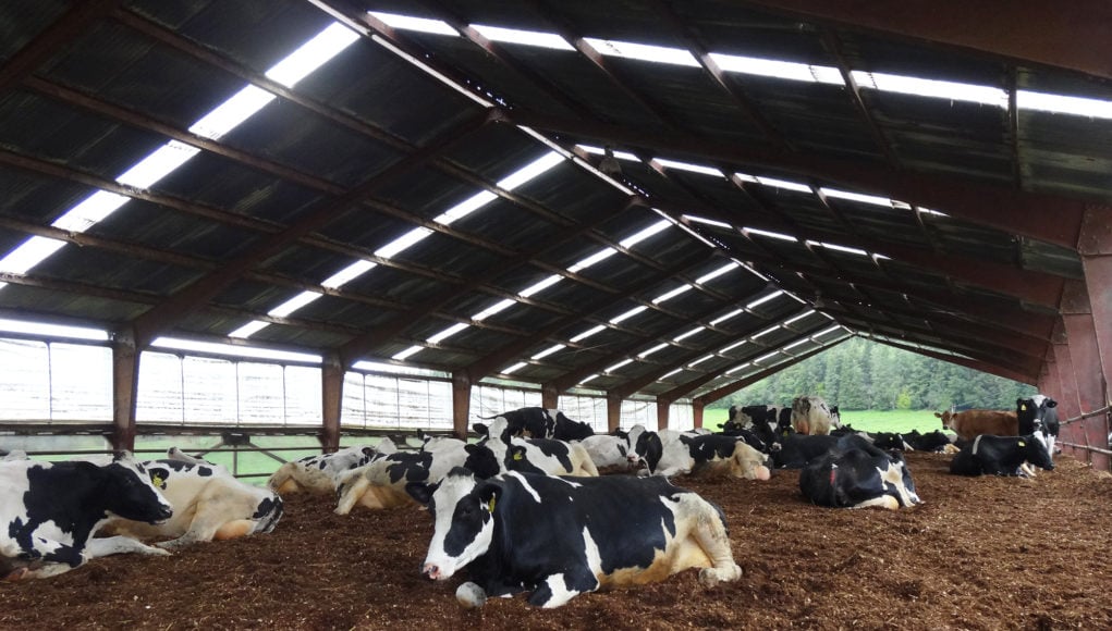 10 pontos a considerar antes de utilizar o Compost Barn